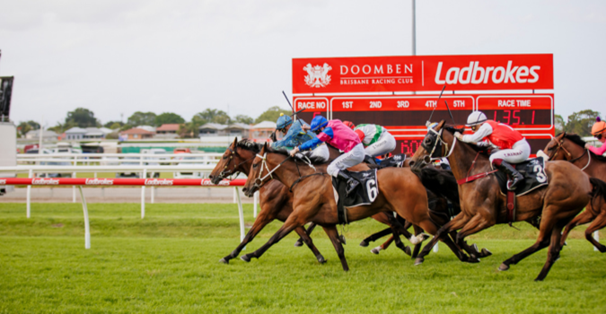 Racing Queensland - roblovegrove.com